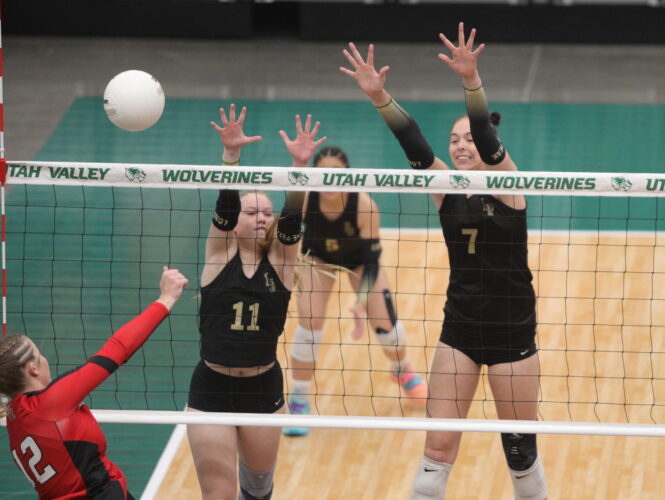 All-Region 4 Volleyball Awards: Kohler earns region MVP | News, Sports ...